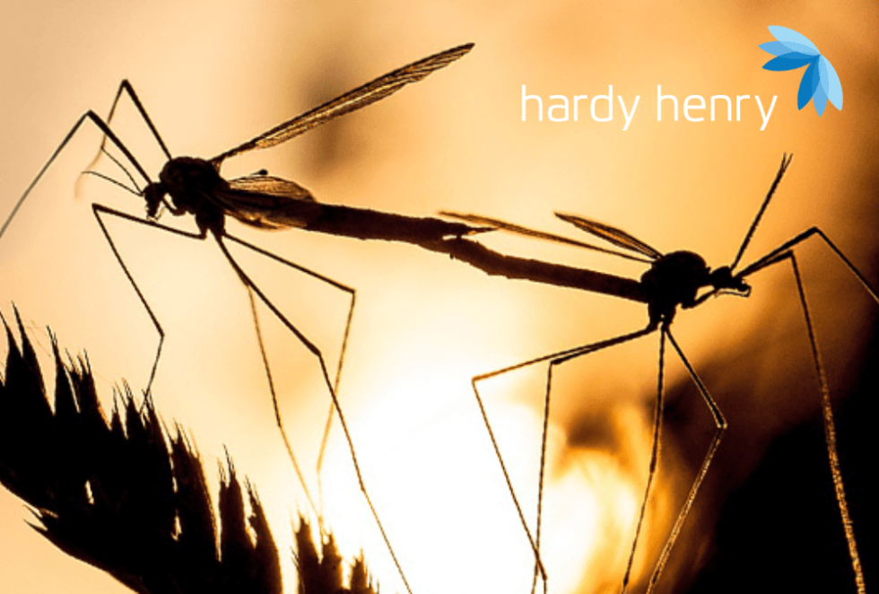 C’est la saison des amours chez les nuisibles - Hardy Henry Services C’est la saison des amours chez les nuisibles - Hardy Henry Services