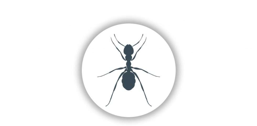 Hardy Henry Services | Pest Control & Hygiene services