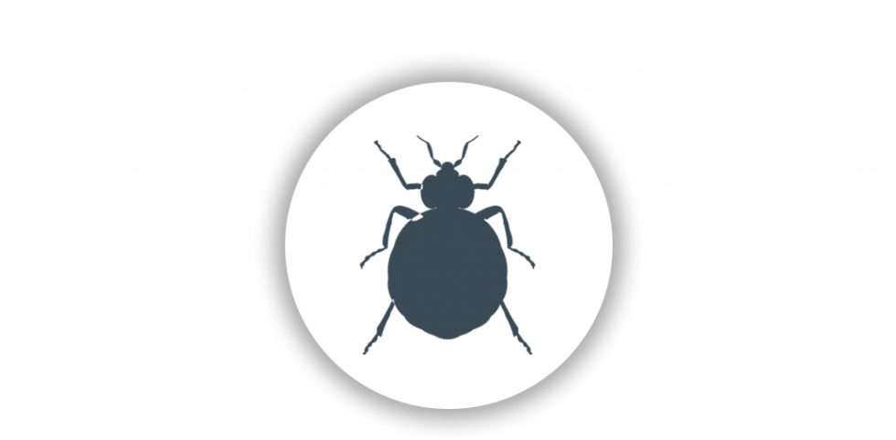 Hardy Henry Services | Pest Control & Hygiene services