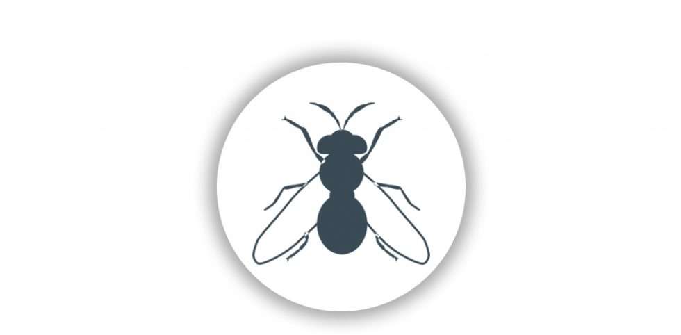 Hardy Henry Services | Pest Control & Hygiene services